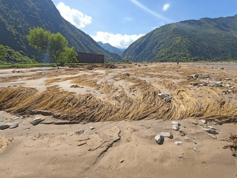 Flood damages around 100 bigha of paddy cultivation on eve of harvest ...