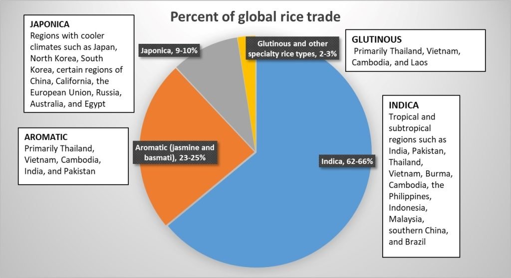 Rice News Today
