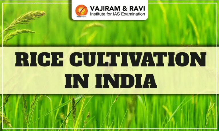 Rice Cultivation in India, Map, Requirement, Methods, Growth
