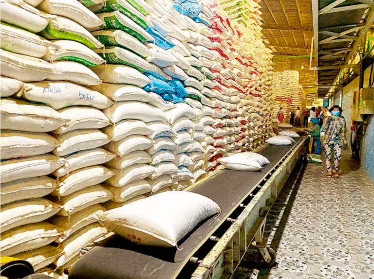 Rice exports face short-term pressure as supply rises, imports ease