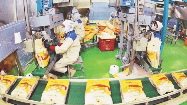 Viet Nam targets new rice markets to navigate global trade shifts