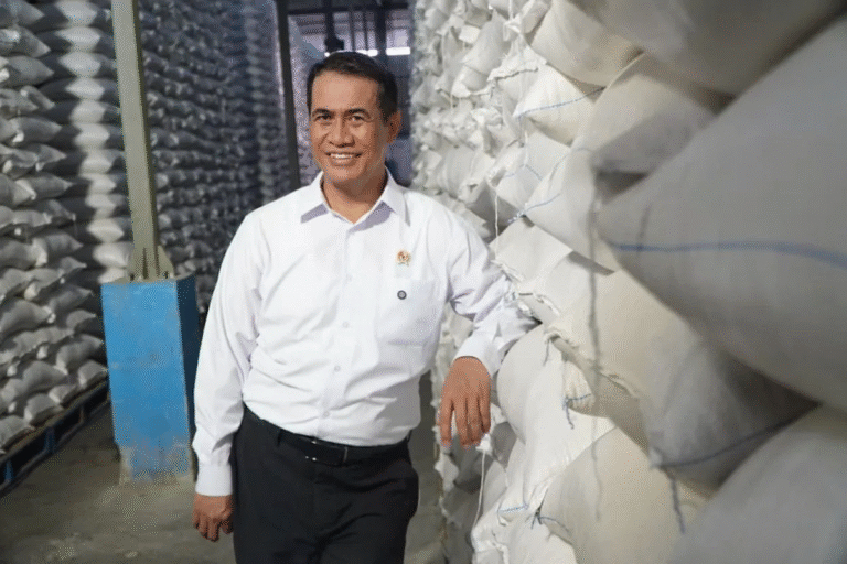 Indonesia's rice stock hits historic high of 5.3 mln tons: Minister